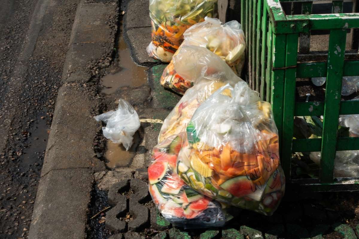 Restaurant Waste Management: Best Practices for Efficiency