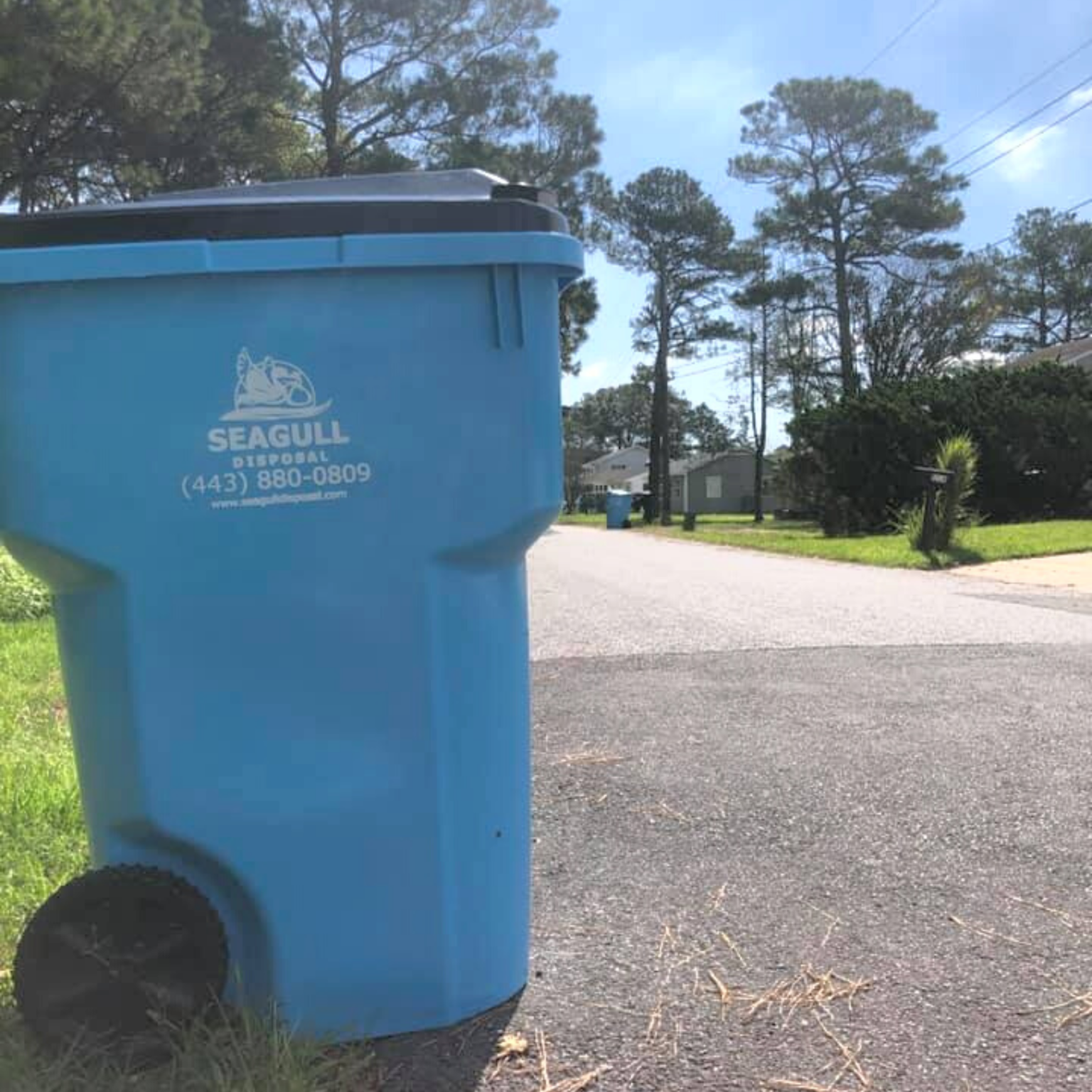 Order Trash & Disposal Services Online | Eastern Shore, MD - Seagull ...